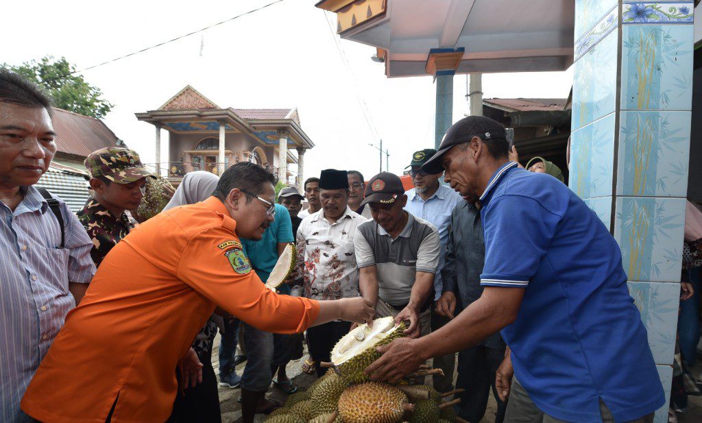 Festival Durian Khas Kronto Bakal jadi Agenda Wisata Tahunan di ...