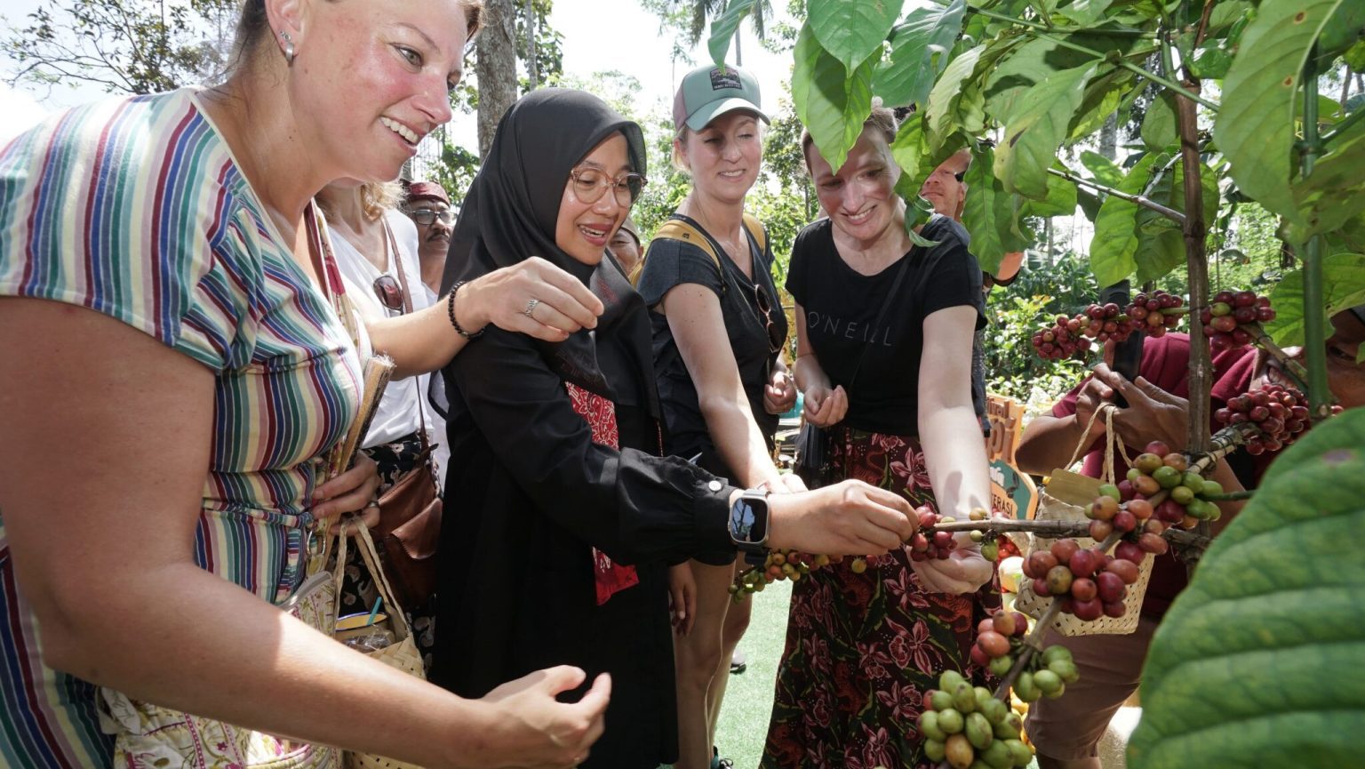 Festival Kopi Kalibaru Angkat Kopi Rakyat Banyuwangi - PUSTAKALEWI NEWS